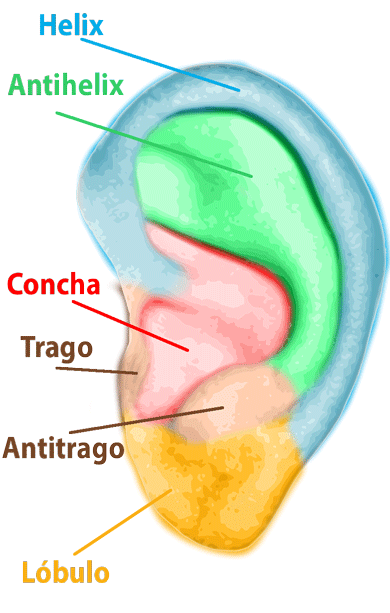 Recursos Tumbex